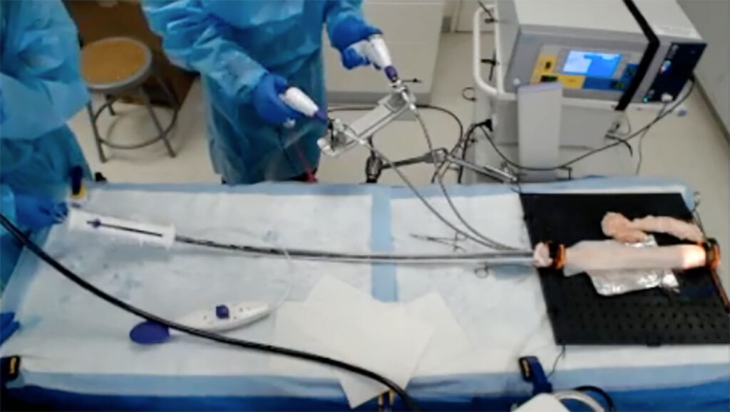 Press Release Archives - Lumendi